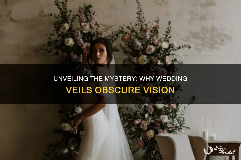 Unveiling The Mystery: Why Wedding Veils Obscure Vision | ShunBridal