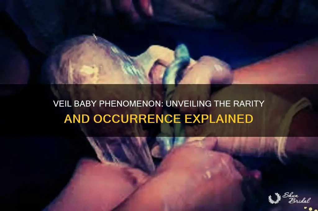 Veil Baby Phenomenon: Unveiling The Rarity And Occurrence Explained ...