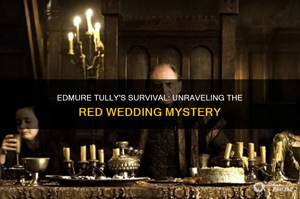 Edmure Tully's Survival: Unraveling The Red Wedding Mystery | ShunBridal