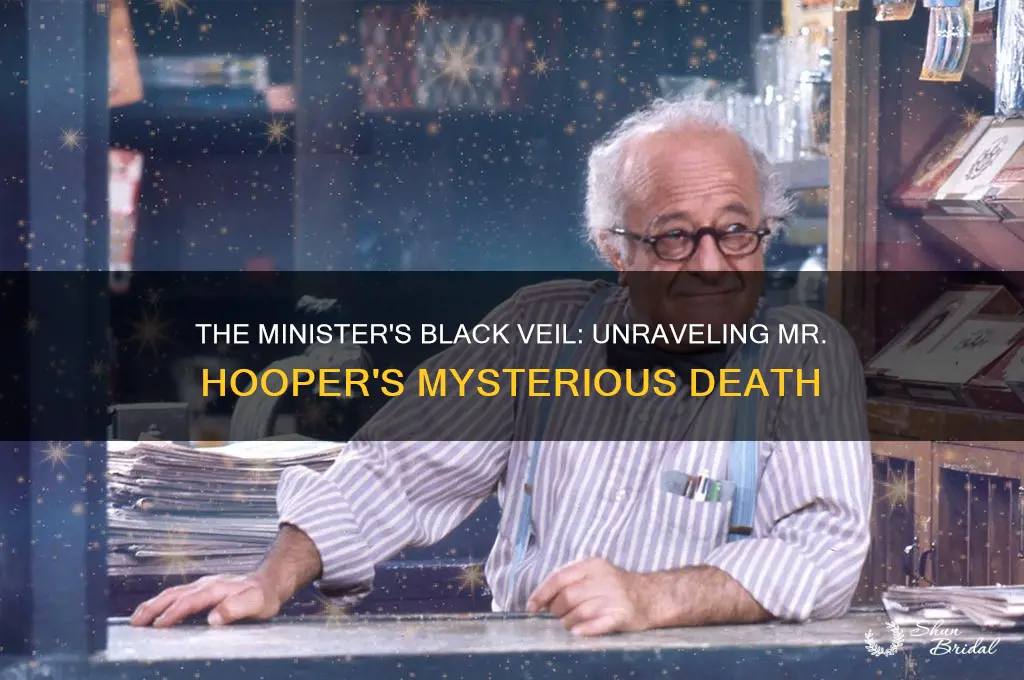 The Minister's Black Veil: Unraveling Mr. Hooper's Mysterious Death ...