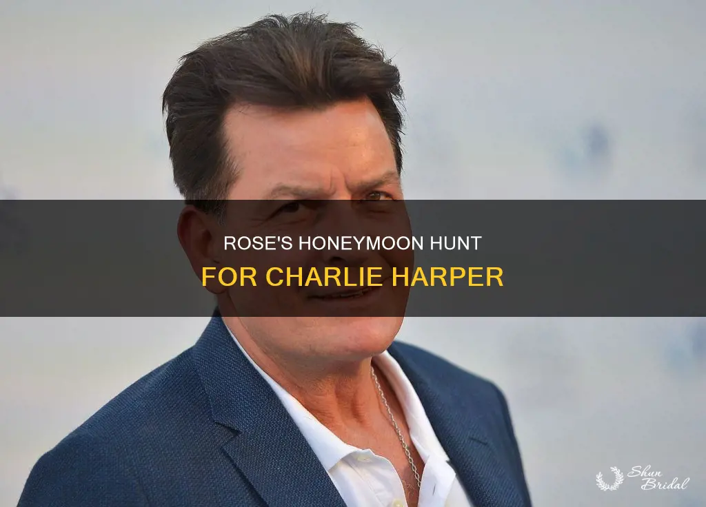 Rose's Honeymoon Hunt For Charlie Harper | ShunBridal