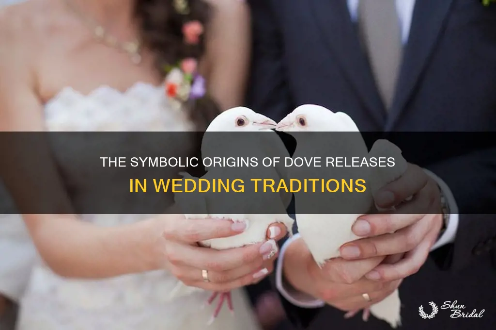 The Symbolic Origins Of Dove Releases In Wedding Traditions | ShunBridal
