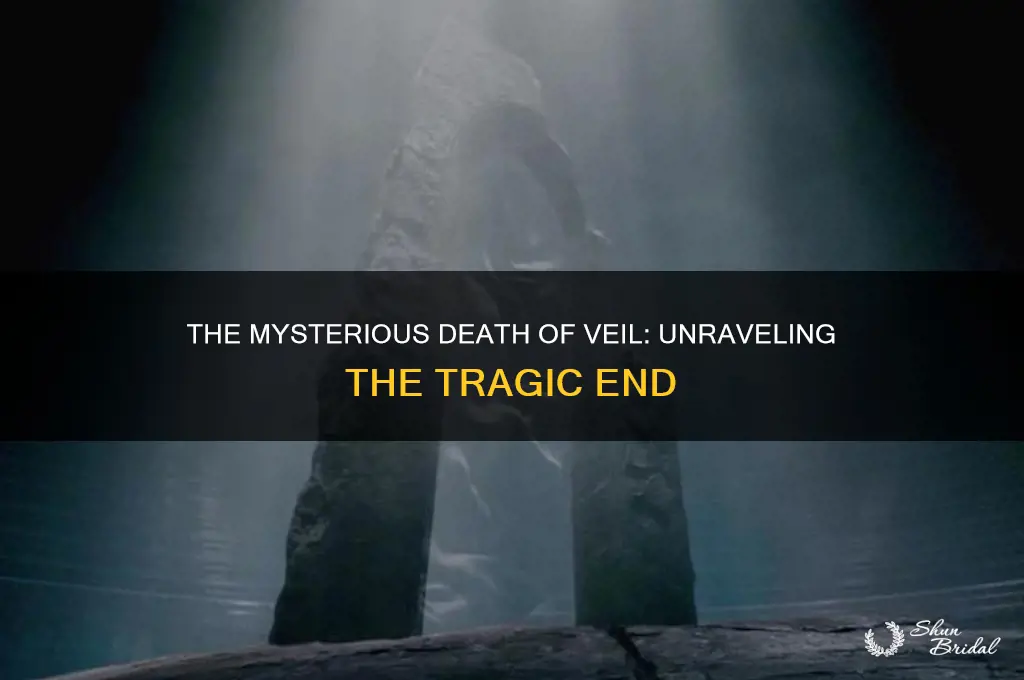 The Mysterious Death Of Veil: Unraveling The Tragic End | ShunBridal