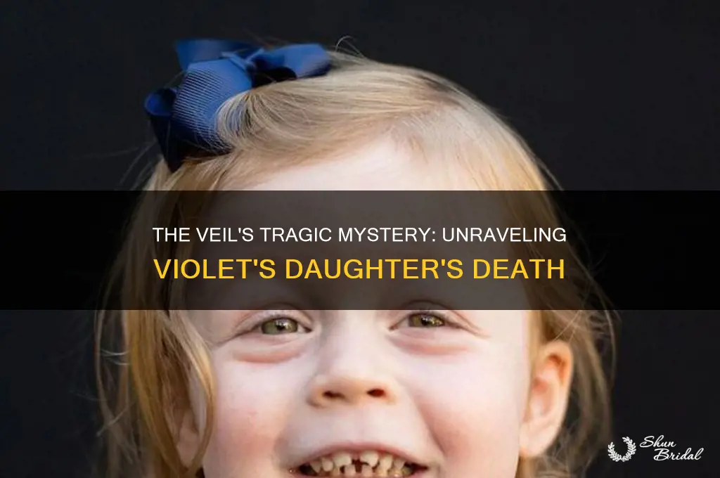 The Veil's Tragic Mystery: Unraveling Violet's Daughter's Death ...