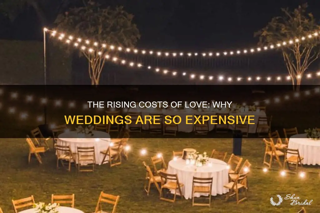 The Rising Costs Of Love: Why Weddings Are So Expensive | ShunBridal