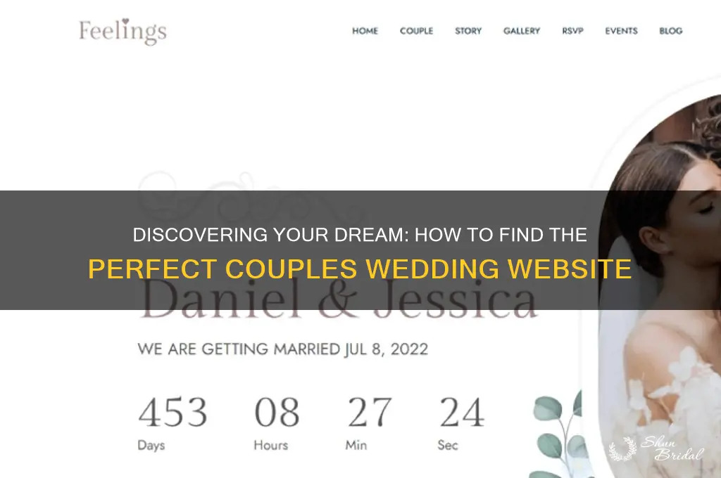 Discovering Your Dream: How To Find The Perfect Couples Wedding Website ...