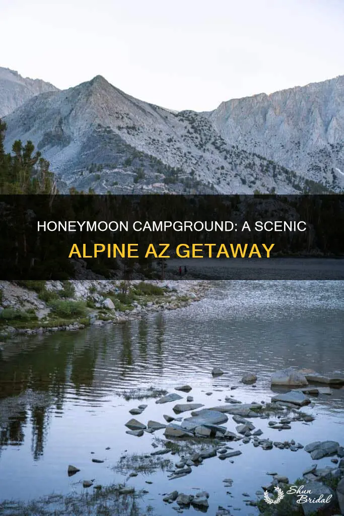 Honeymoon Campground: A Scenic Alpine Az Getaway | ShunBridal