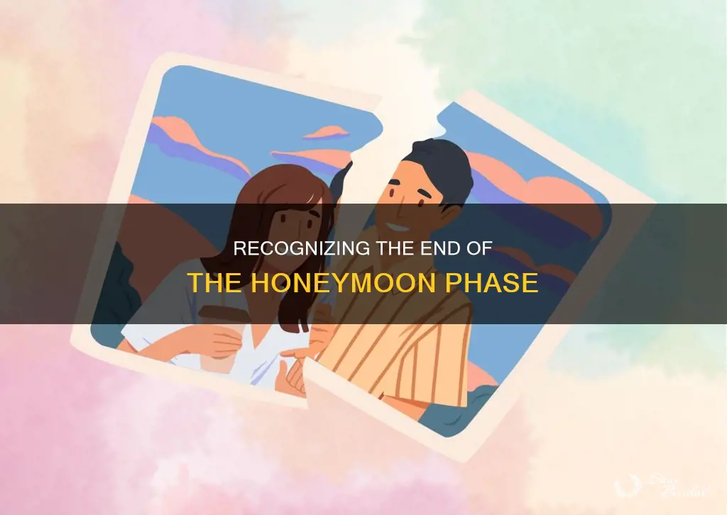 Recognizing The End Of The Honeymoon Phase | ShunBridal