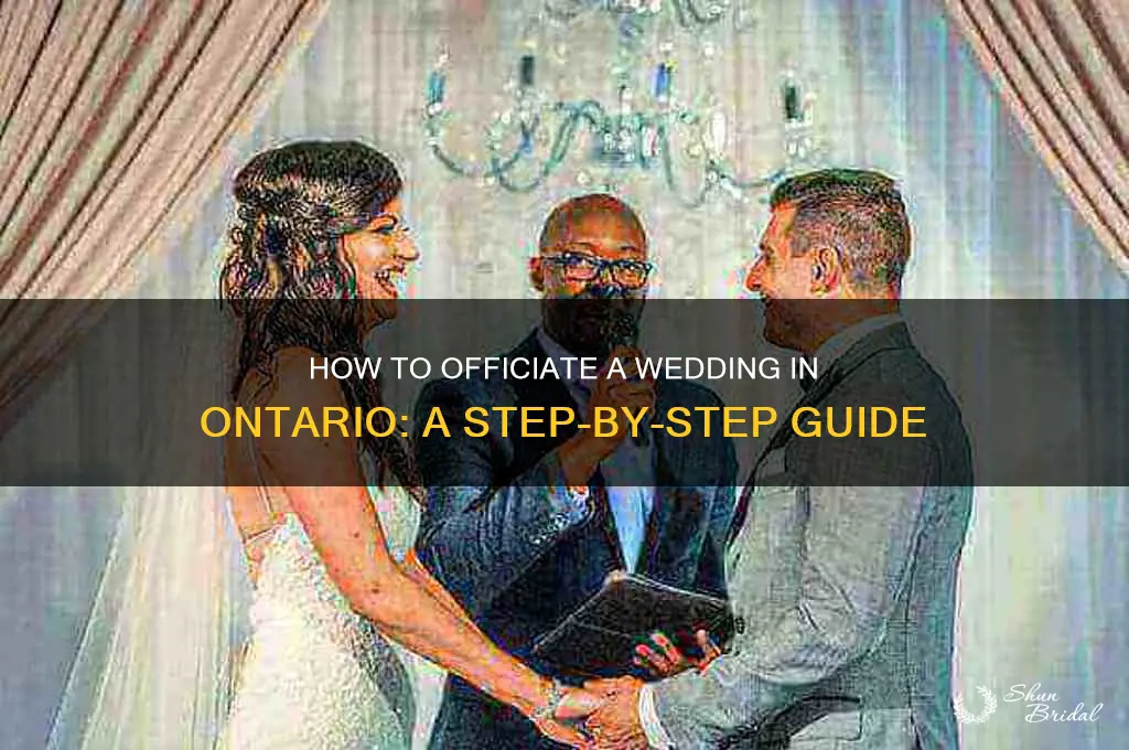 How To Officiate A Wedding In Ontario: A Step-By-Step Guide | ShunBridal
