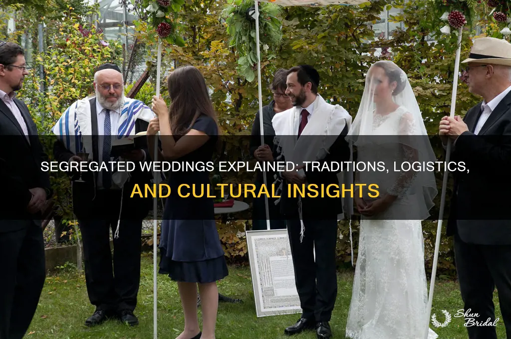 Segregated Weddings Explained: Traditions, Logistics, And Cultural ...