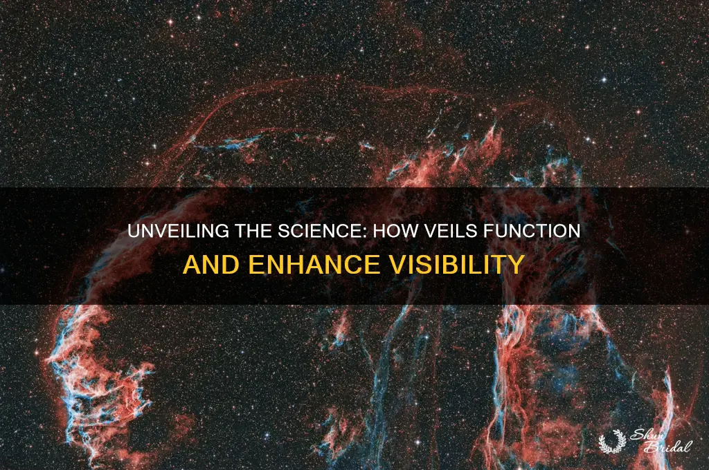 Unveiling The Science: How Veils Function And Enhance Visibility ...