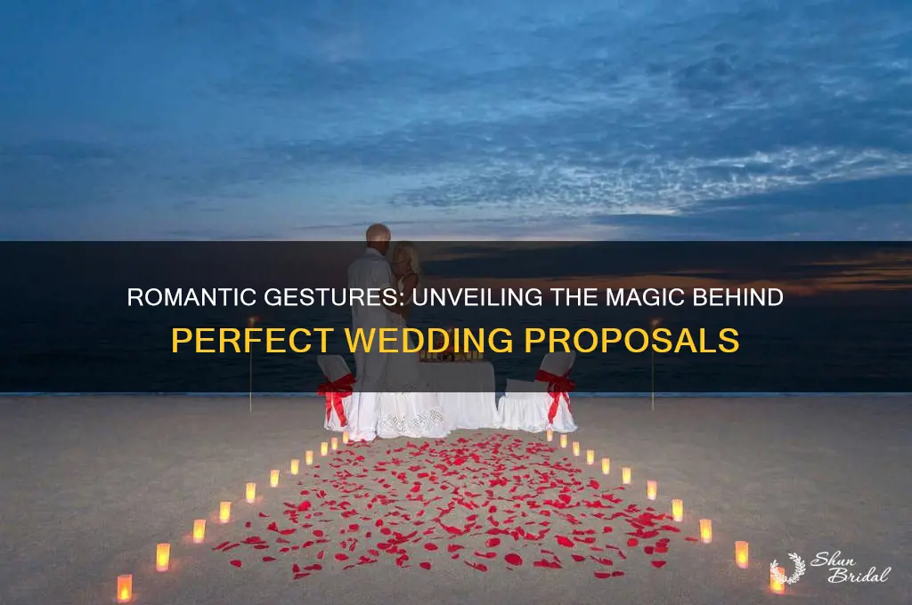 Romantic Gestures: Unveiling The Magic Behind Perfect Wedding Proposals ...