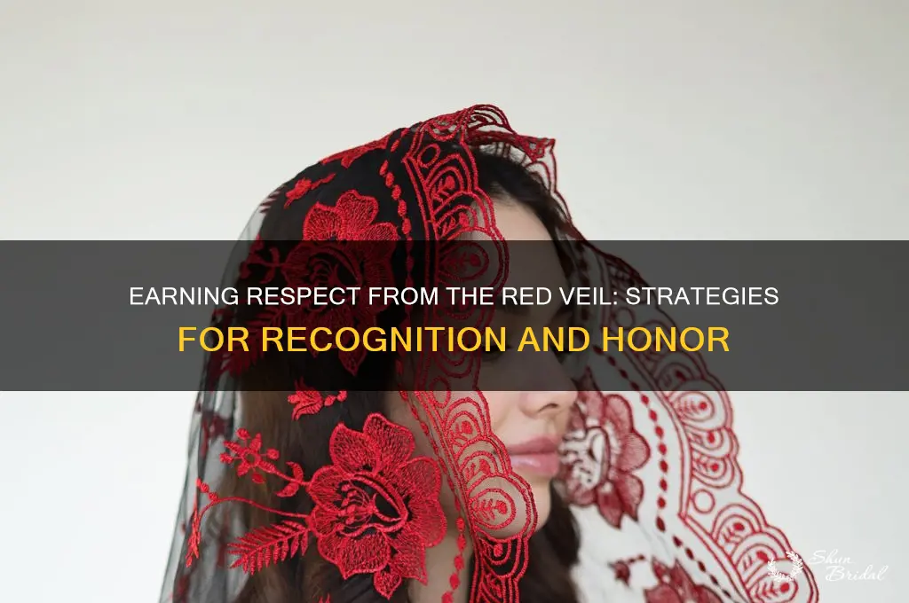 Earning Respect From The Red Veil: Strategies For Recognition And Honor ...