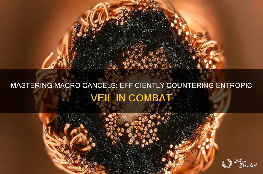 Mastering Macro Cancels: Efficiently Countering Entropic Veil In Combat ...