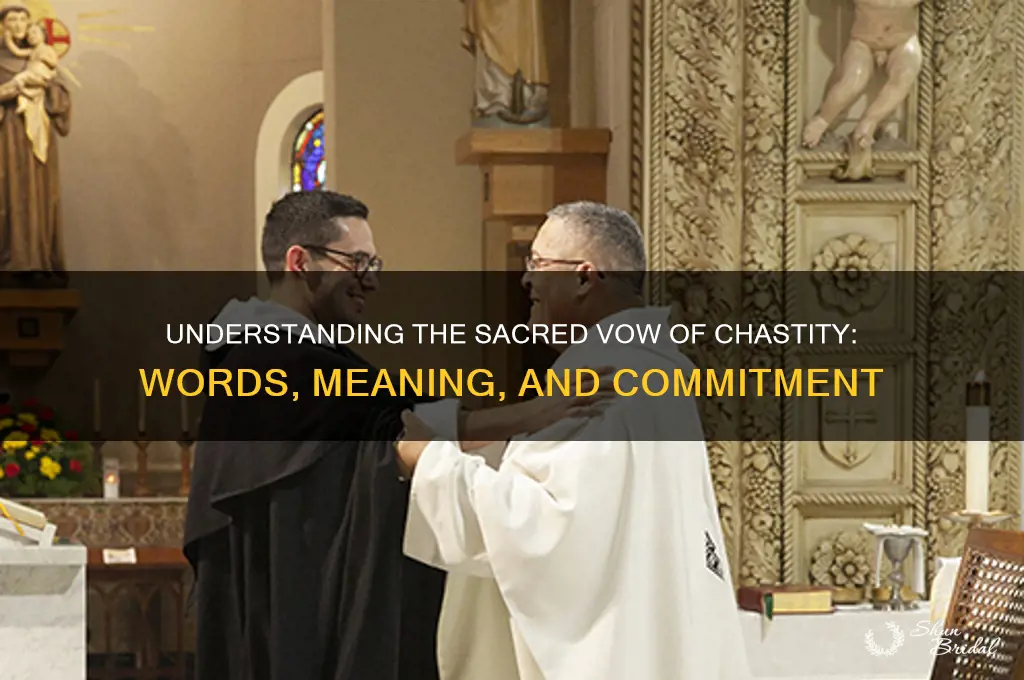 Understanding The Sacred Vow Of Chastity: Words, Meaning, And ...