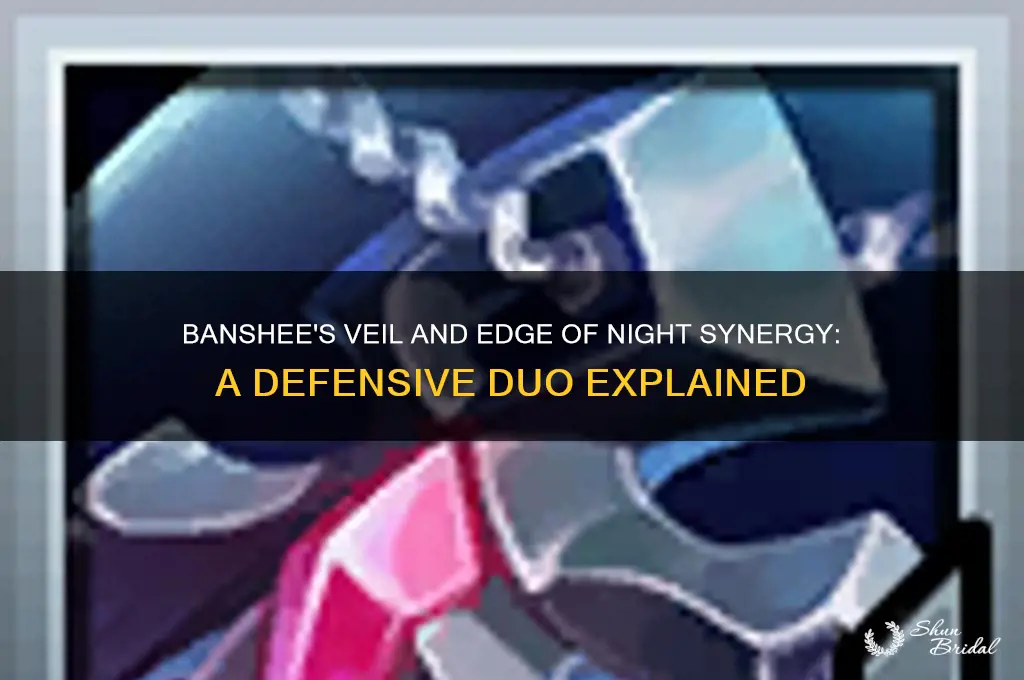 Banshee's Veil And Edge Of Night Synergy: A Defensive Duo Explained ...