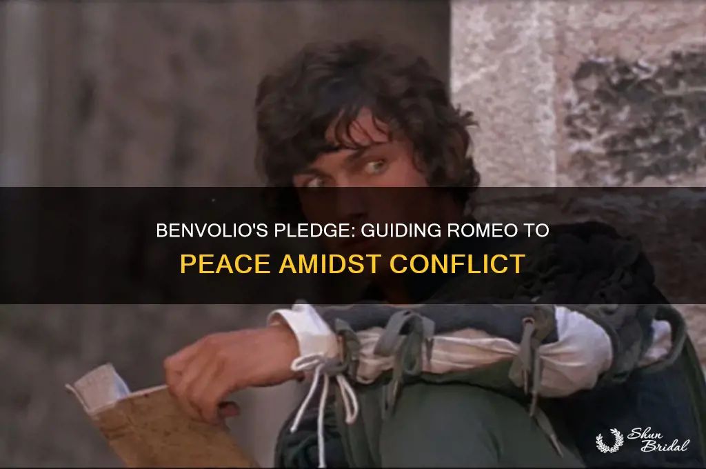 Benvolio's Pledge: Guiding Romeo To Peace Amidst Conflict | ShunBridal