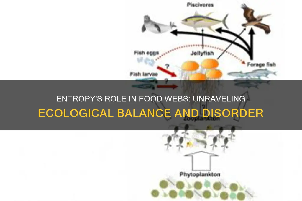 Entropy's Role In Food Webs: Unraveling Ecological Balance And Disorder ...