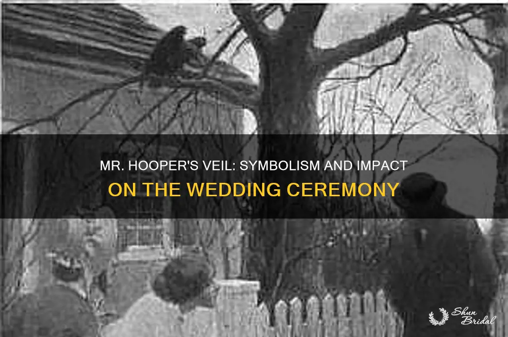 Mr. Hooper's Veil: Symbolism And Impact On The Wedding Ceremony ...