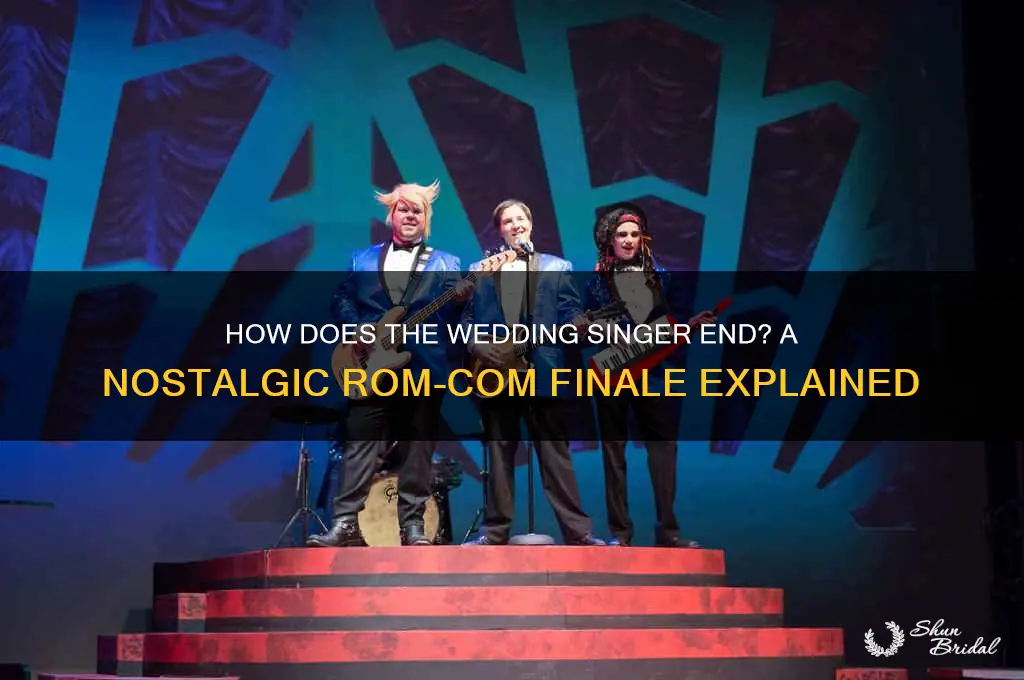 How Does The Wedding Singer End? A Nostalgic Rom-Com Finale Explained ...