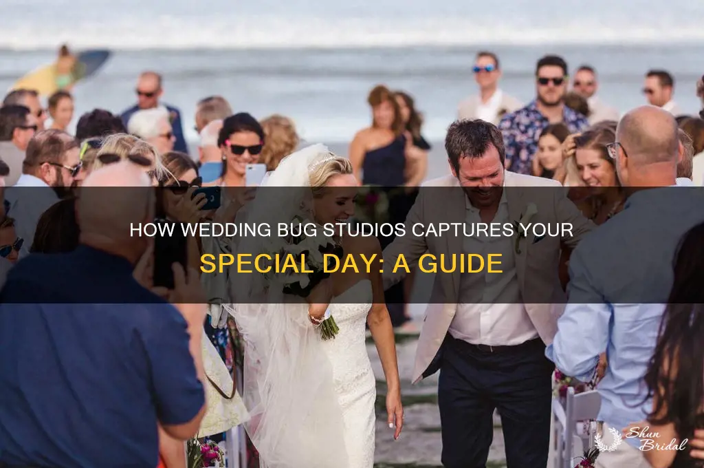 How Wedding Bug Studios Captures Your Special Day: A Guide | ShunBridal
