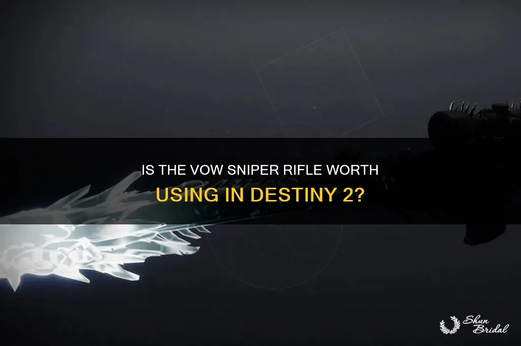 Is The Vow Sniper Rifle Worth Using In Destiny 2? | ShunBridal