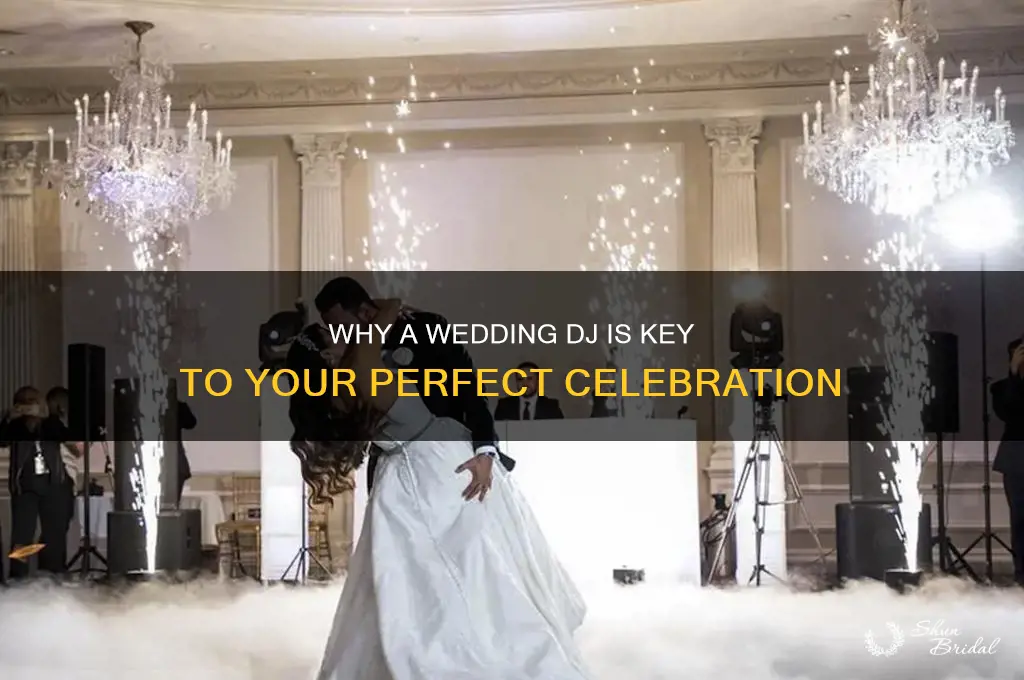 Why A Wedding Dj Is Key To Your Perfect Celebration | ShunBridal