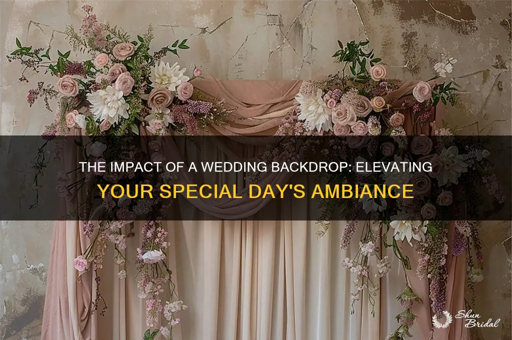The Impact Of A Wedding Backdrop: Elevating Your Special Day's Ambiance ...