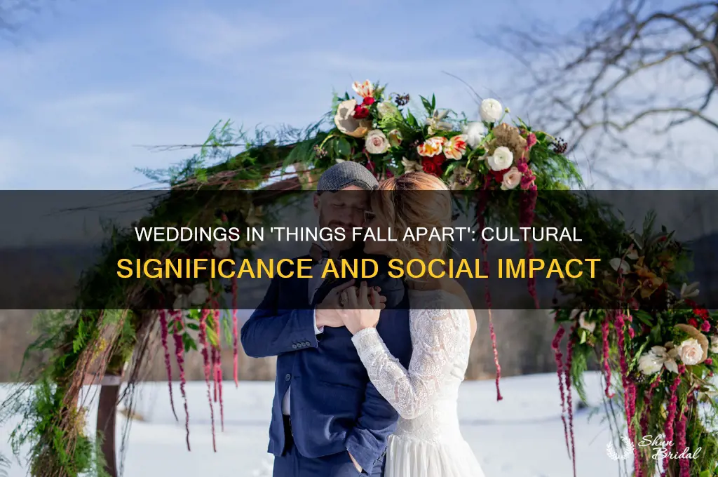 Weddings In 'Things Fall Apart': Cultural Significance And Social ...