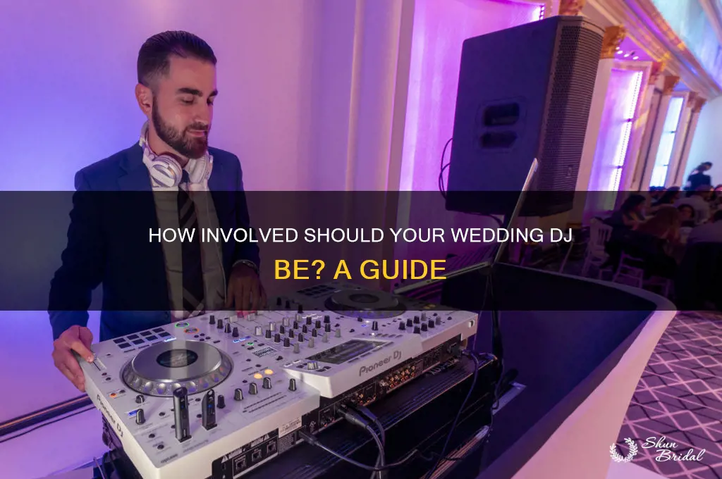 How Involved Should Your Wedding Dj Be? A Guide | ShunBridal