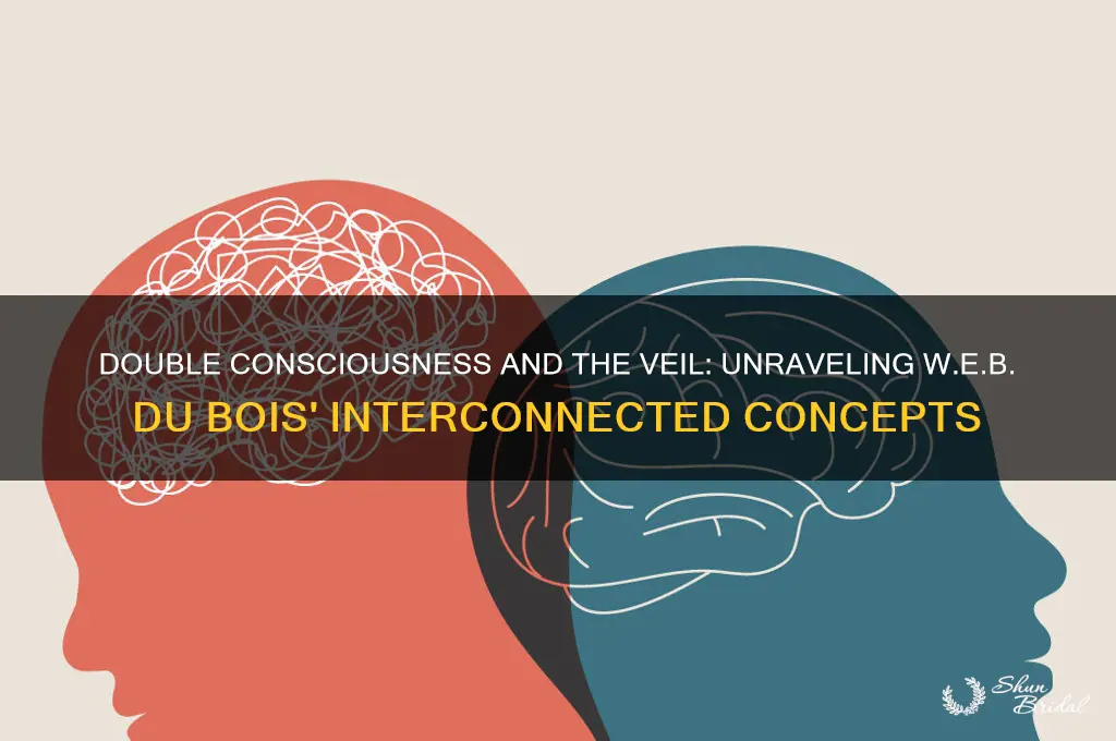 Double Consciousness And The Veil: Unraveling W.E.B. Du Bois ...