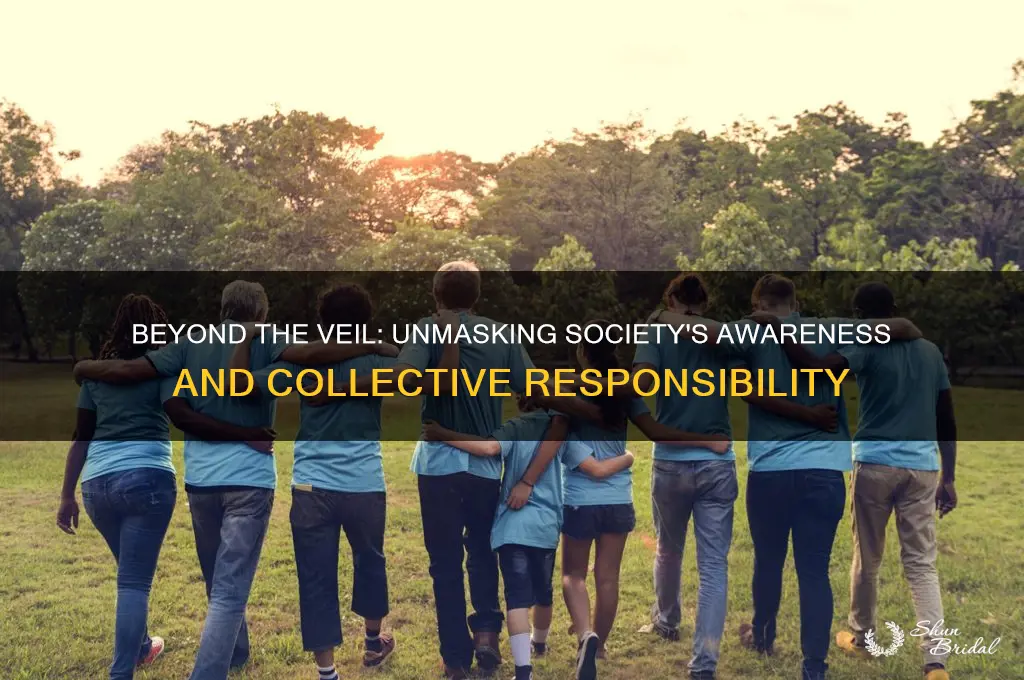Beyond The Veil: Unmasking Society's Awareness And Collective ...