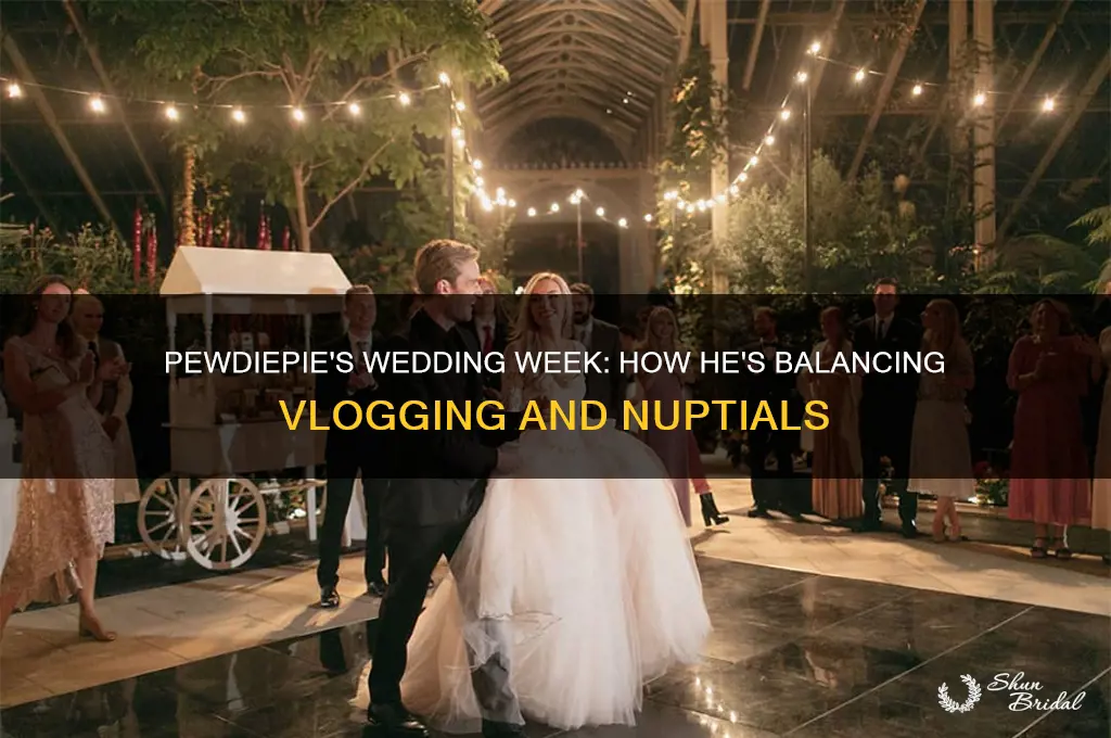 Pewdiepie's Wedding Week: How He's Balancing Vlogging And Nuptials ...