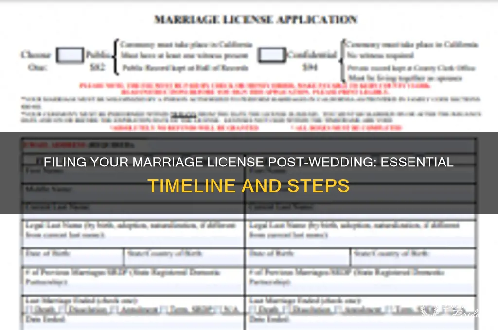 Filing Your Marriage License Post-Wedding: Essential Timeline And Steps ...
