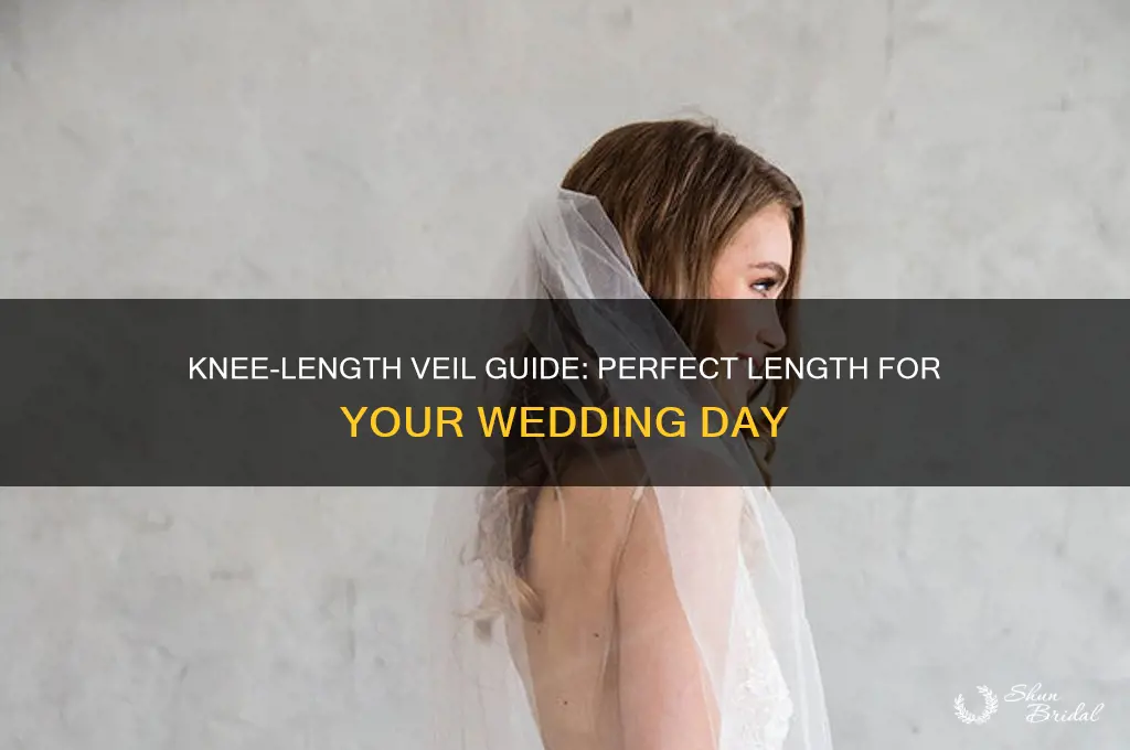Knee-Length Veil Guide: Perfect Length For Your Wedding Day | ShunBridal