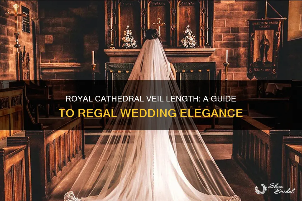 Royal Cathedral Veil Length: A Guide To Regal Wedding Elegance | ShunBridal