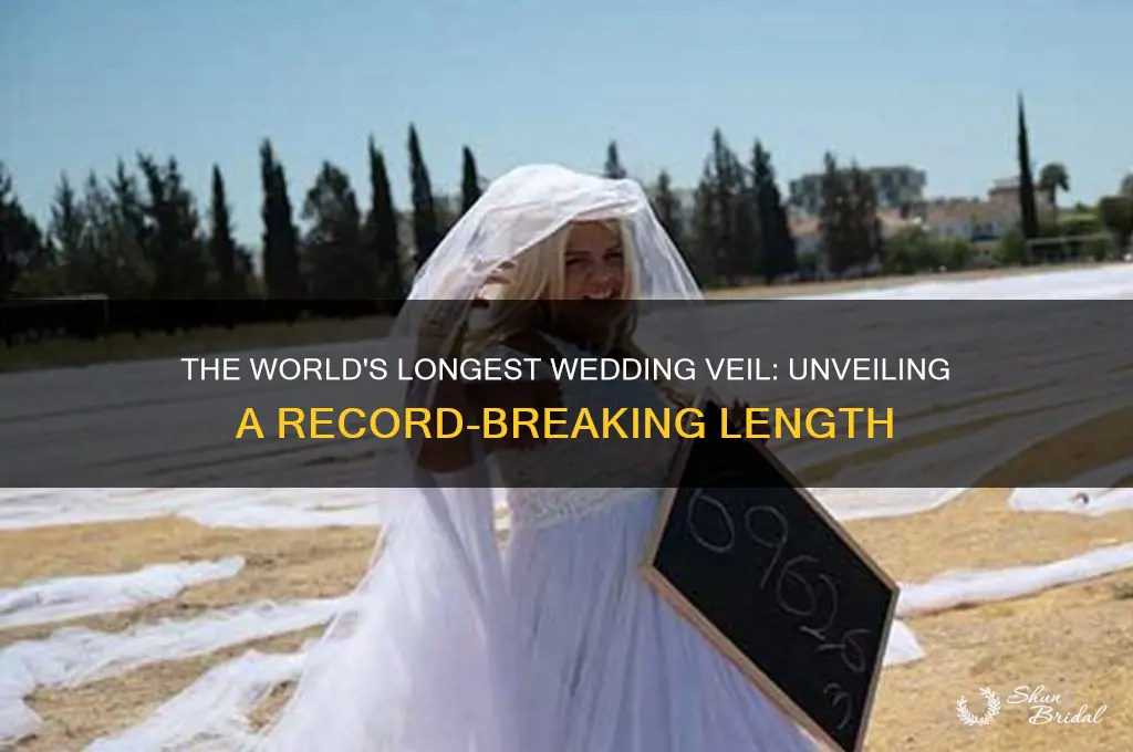 The World's Longest Wedding Veil: Unveiling A Record-Breaking Length ...