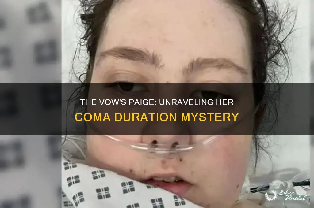 The Vow's Paige: Unraveling Her Coma Duration Mystery | ShunBridal