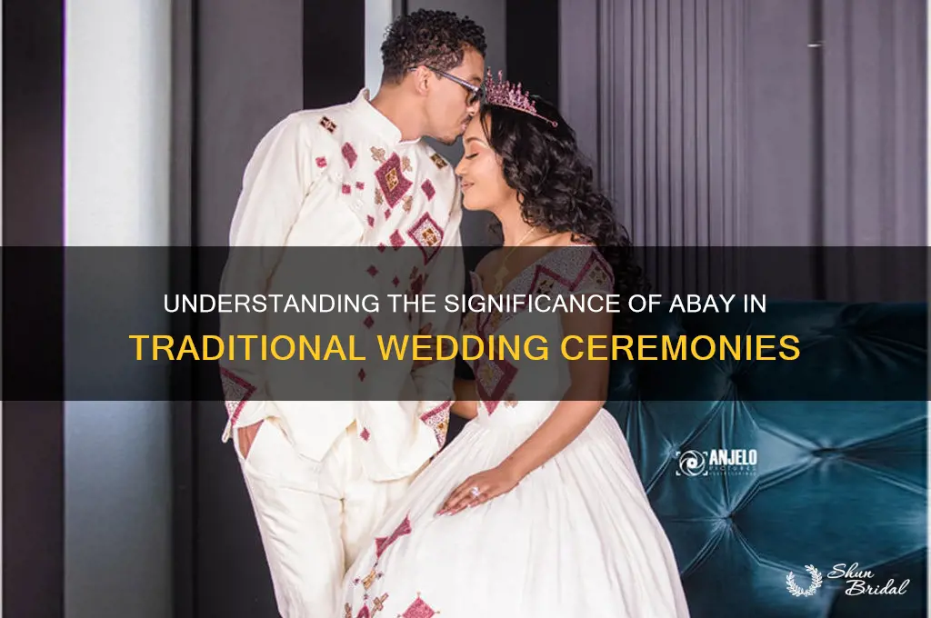 Understanding The Significance Of Abay In Traditional Wedding ...