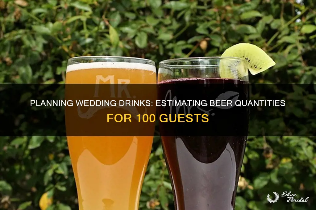 Planning Wedding Drinks: Estimating Beer Quantities For 100 Guests ...