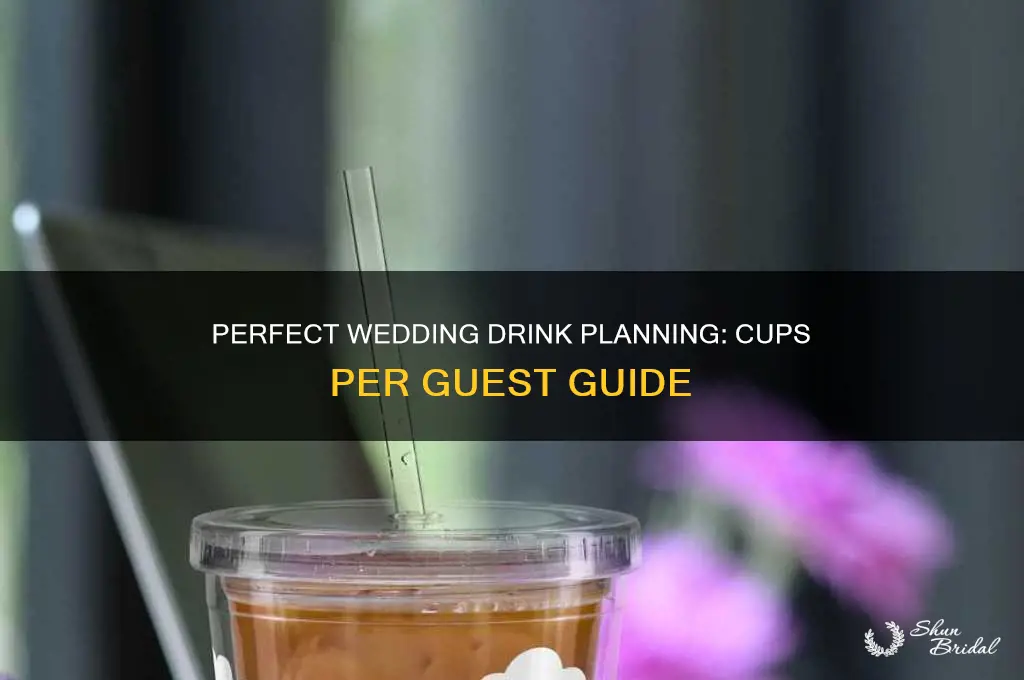 Perfect Wedding Drink Planning: Cups Per Guest Guide | ShunBridal