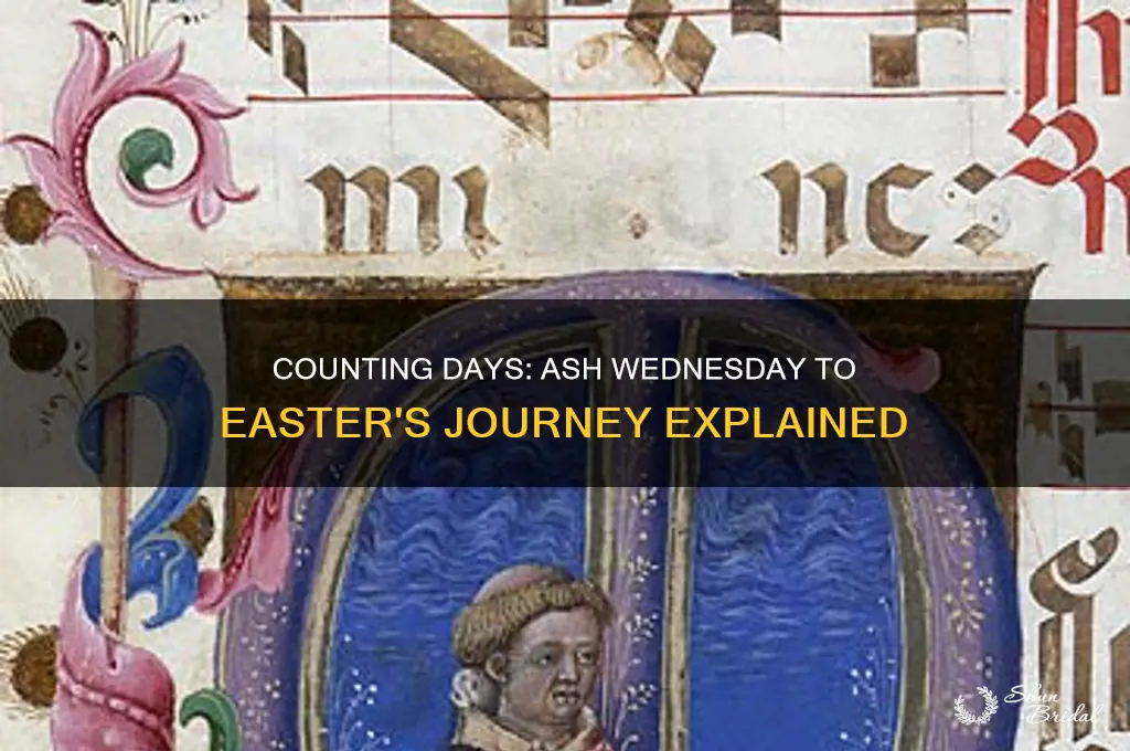 Counting Days: Ash Wednesday To Easter's Journey Explained | ShunBridal
