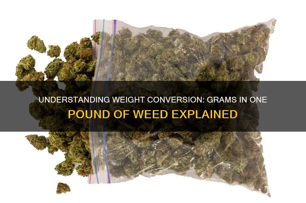 Understanding Weight Conversion: Grams In One Pound Of Weed Explained ...