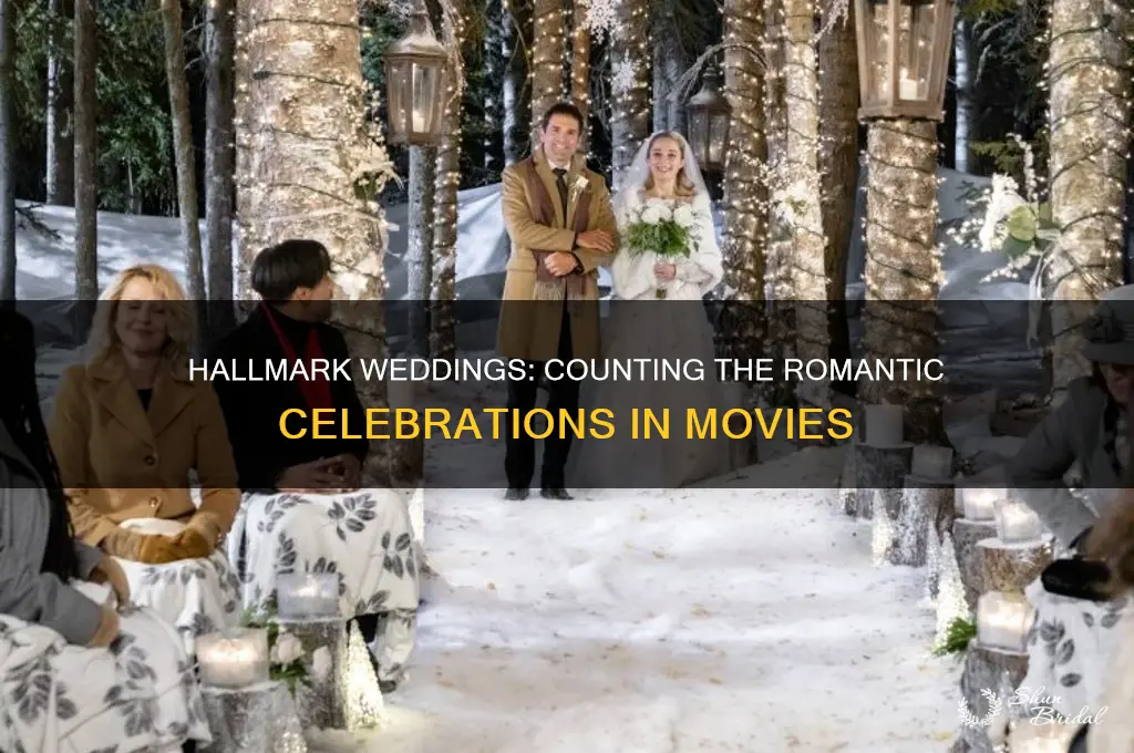 Hallmark Weddings: Counting The Romantic Celebrations In Movies ...