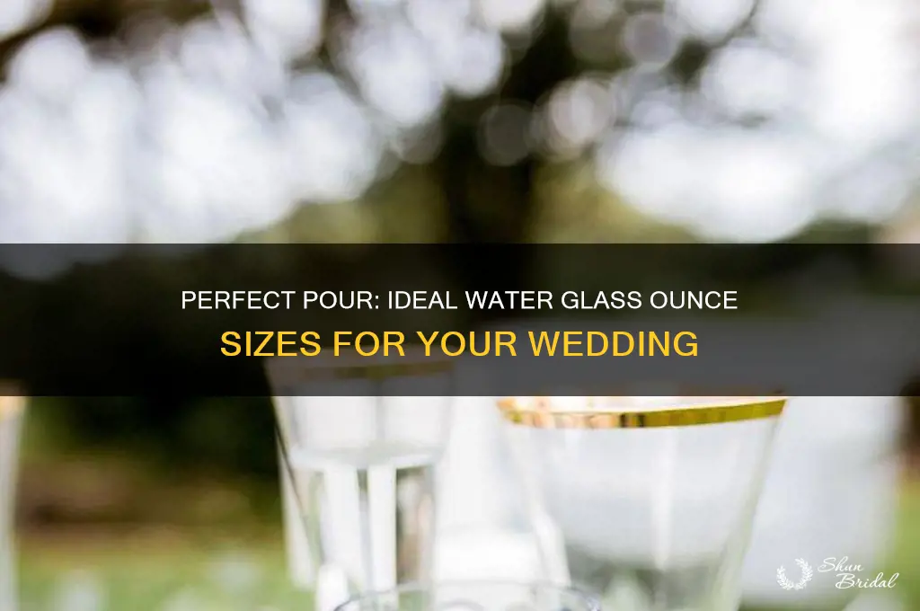 Perfect Pour: Ideal Water Glass Ounce Sizes For Your Wedding | ShunBridal