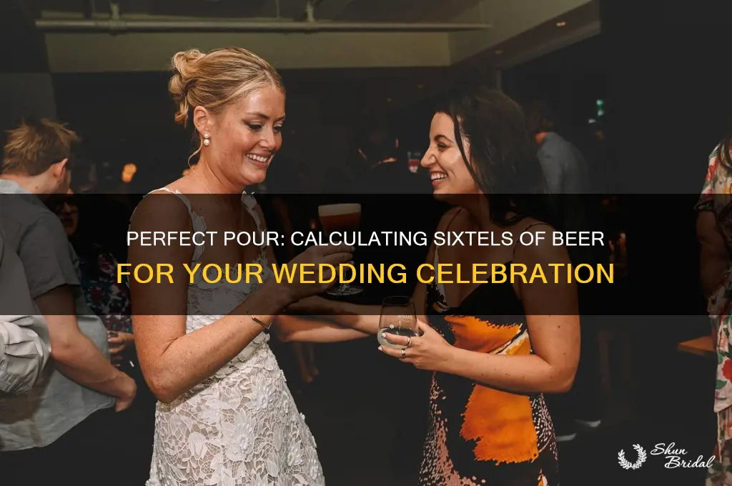 Perfect Pour: Calculating Sixtels Of Beer For Your Wedding Celebration ...
