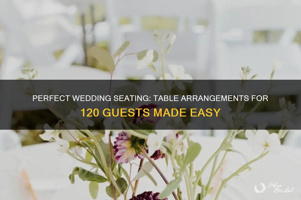 Perfect Wedding Seating: Table Arrangements For 120 Guests Made Easy ...