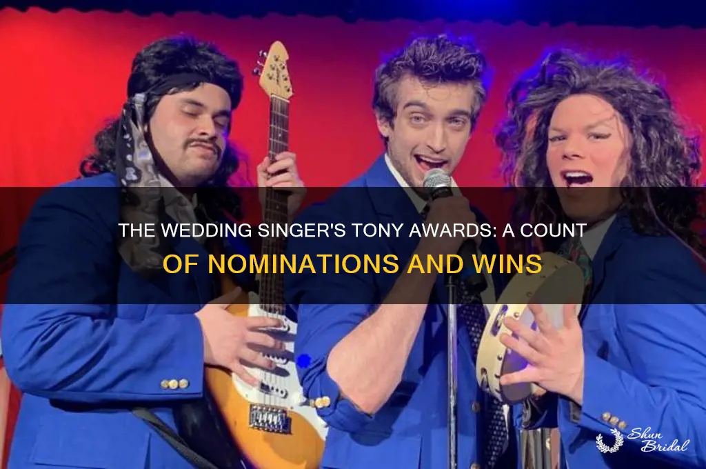 The Wedding Singer's Tony Awards: A Count Of Nominations And Wins ...