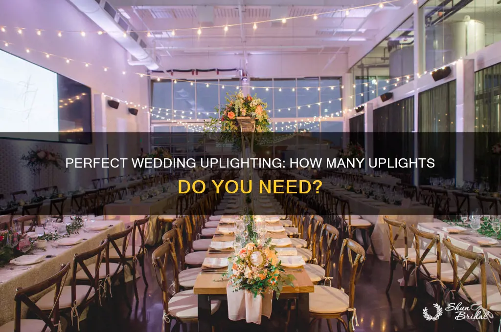 Perfect Wedding Uplighting: How Many Uplights Do You Need? | ShunBridal