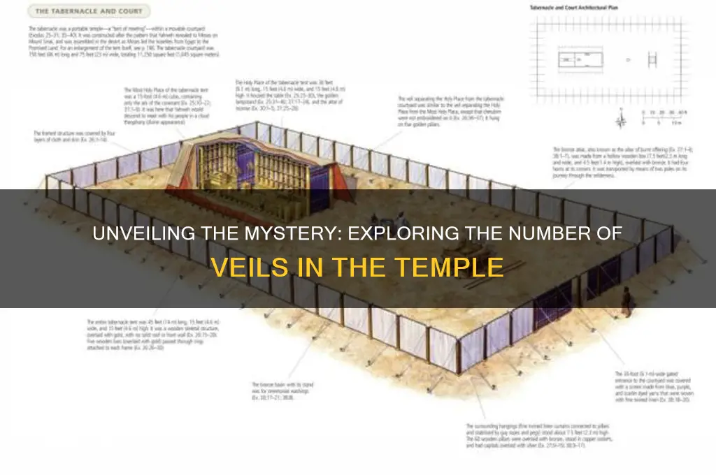 Unveiling The Mystery: Exploring The Number Of Veils In The Temple ...